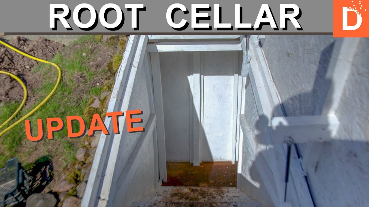 Underground Root Storage - update - YouTube