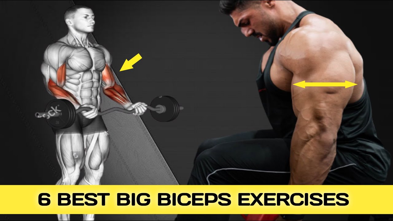 6 Best Big Biceps Workout ( Big Biceps , Long Head Biceps , Short Head ...