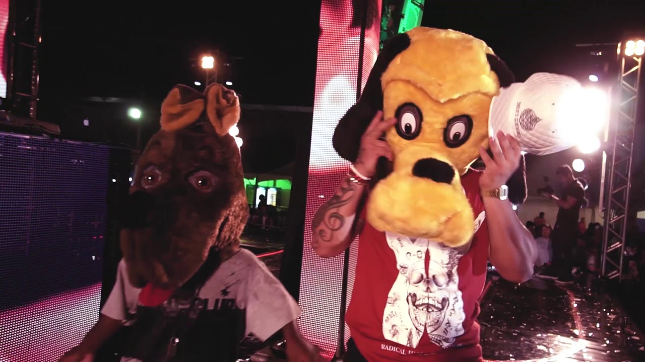 DOG MONSTRO - Open bar de theca ( DVD ao vivo em Irecê ) - YouTube
