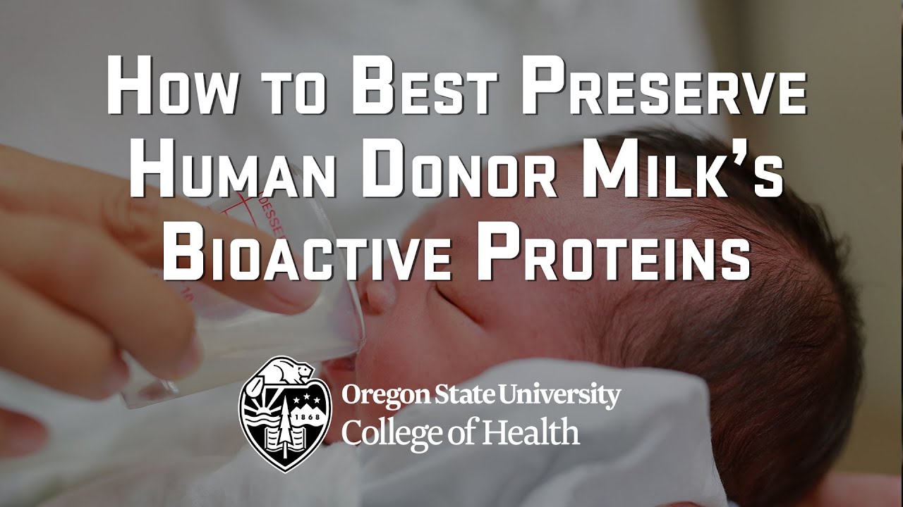 How to Best Preserve Human Donor Milk’s Bioactive Proteins - YouTube