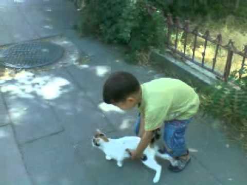 Tatli bebek kediyle oynuyor :))