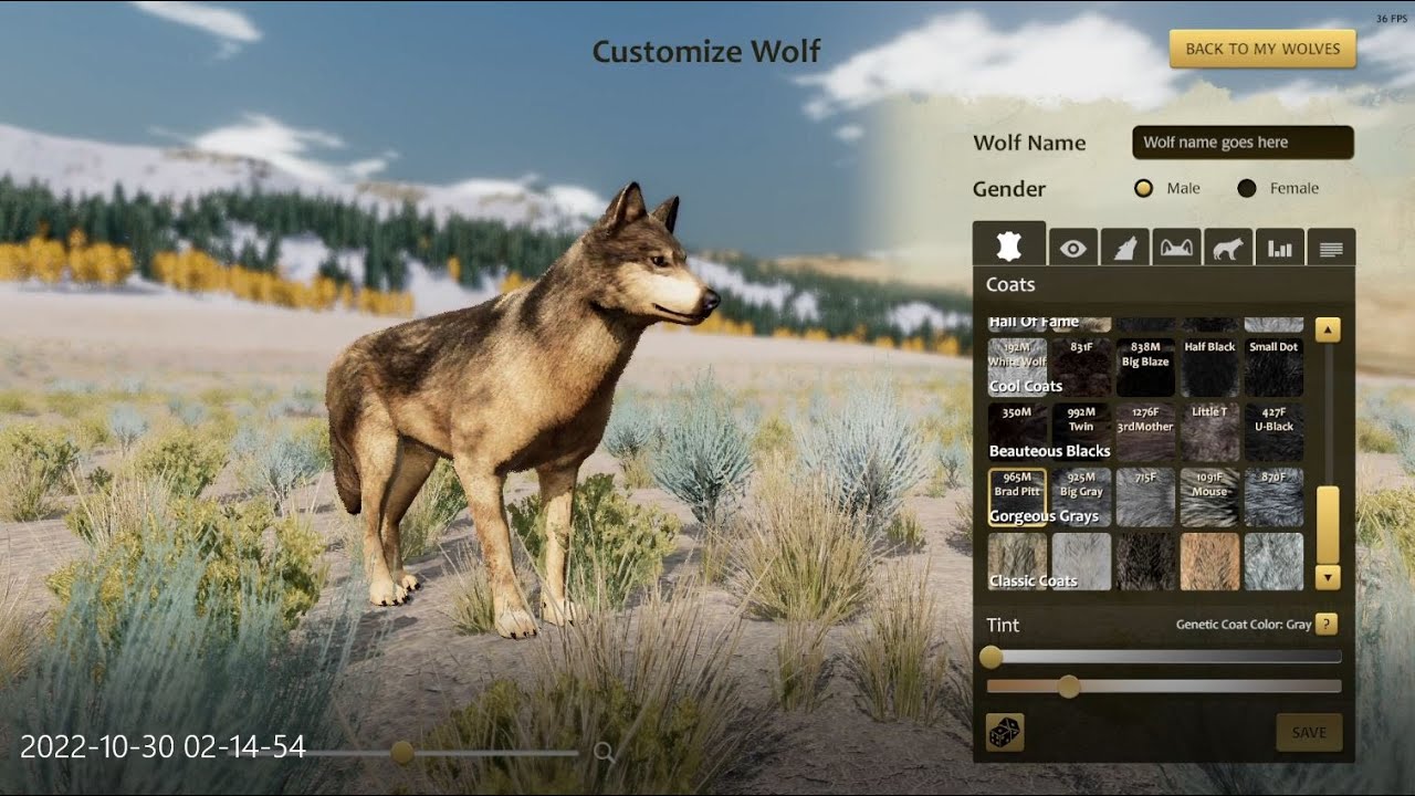 Full Wolf Customization Menu WolfQuest 3 Anniversary Edition Episode #195 (v1.0.8 beta 18) - YouTube
