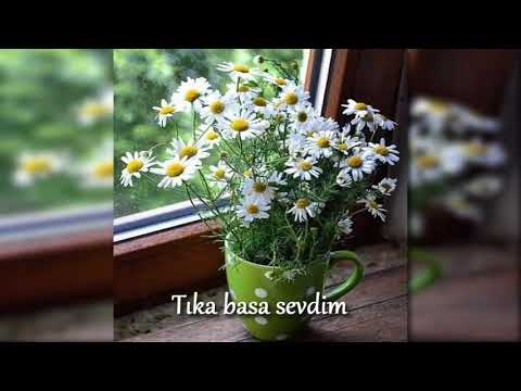Can Yücel | Aslında Bir Ben Sevdim Seni