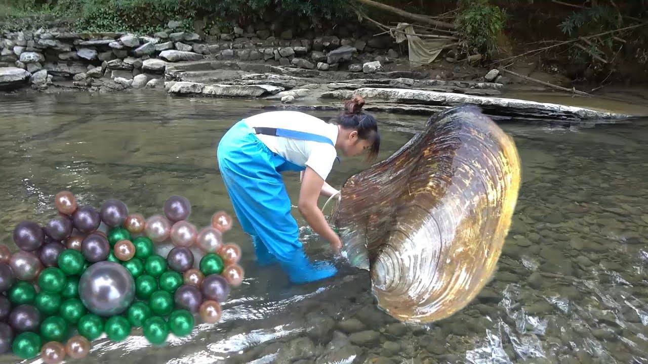 surprise! A huge purple pearl was taken out of a big river mussel that ...