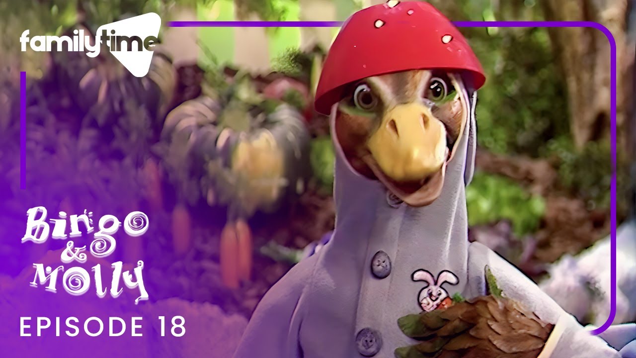 Bingo & Molly | Episode 18 | Fun Either Way - YouTube