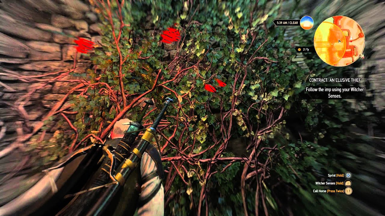 The Witcher 3 - Contract An Elusive Thief: Follow the Imp's Foot Prints ...