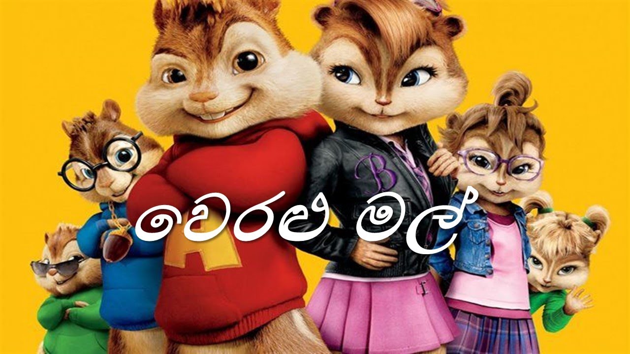 Veralu Mal ( වෙරළු මල් ) Song / Chipmunks Version / Dinesh Gamage Ft ...