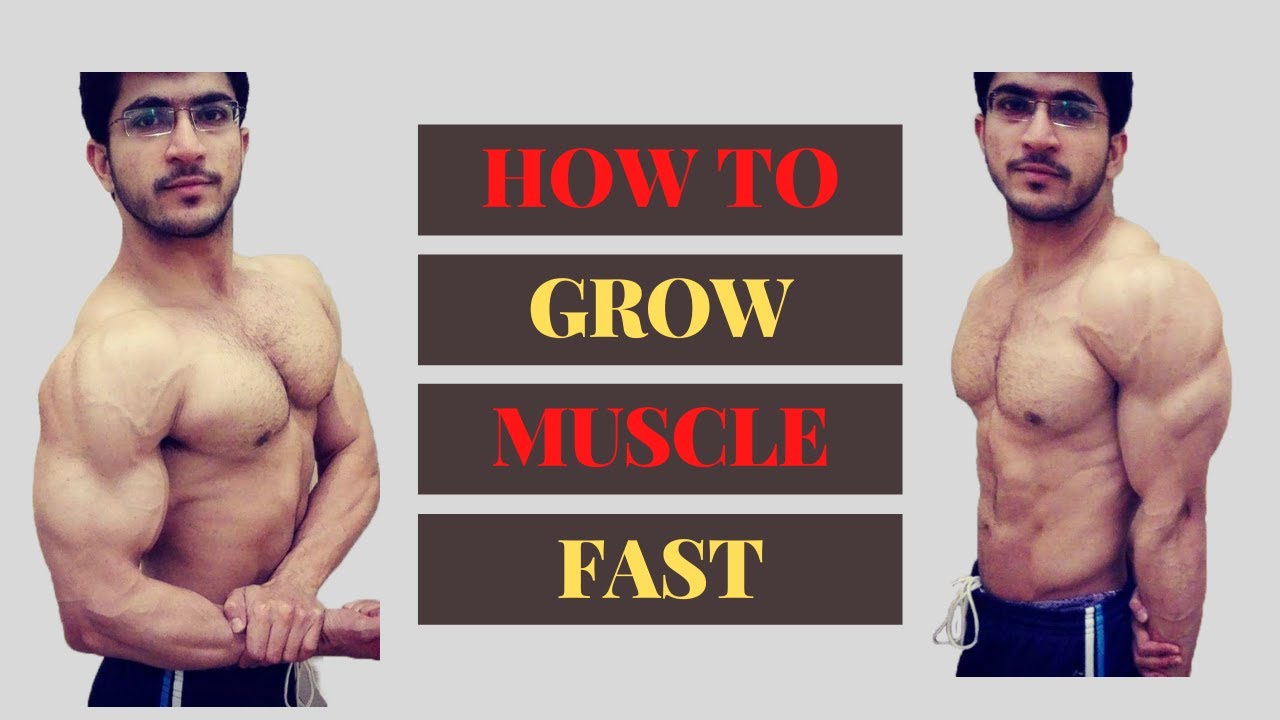How to Gain Muscle As Fast As Possible | How to Build Muscle Fast | How ...