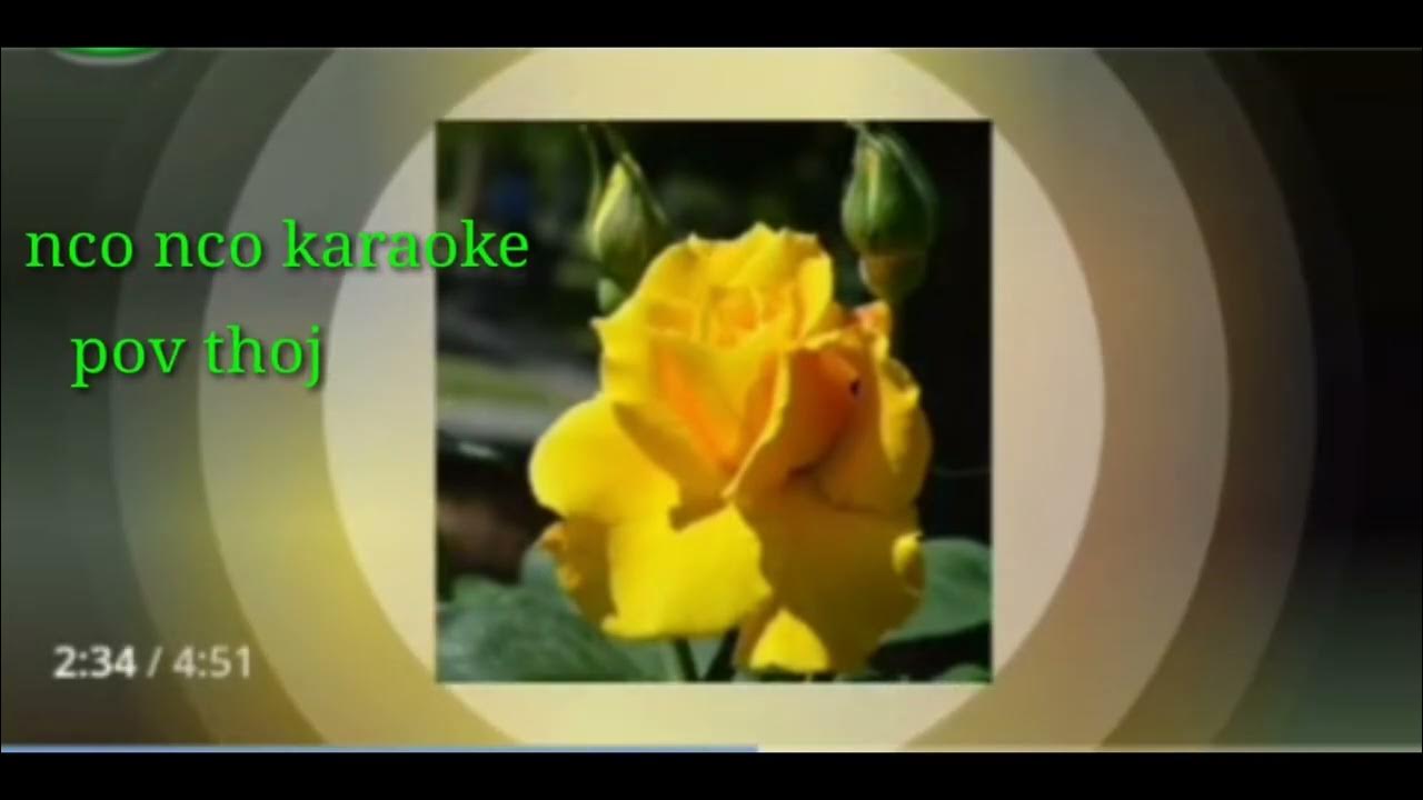 pov thoj : nco nco karaoke - YouTube