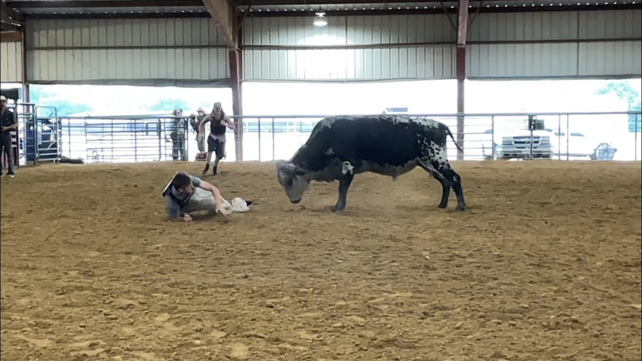 Human Vs Bull - YouTube