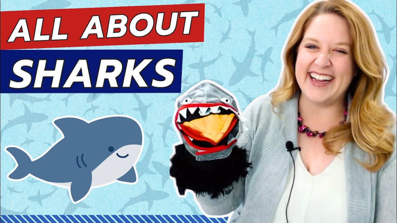 Sharks – Discovering the Ocean’s Top Predators in Online Virtual ...