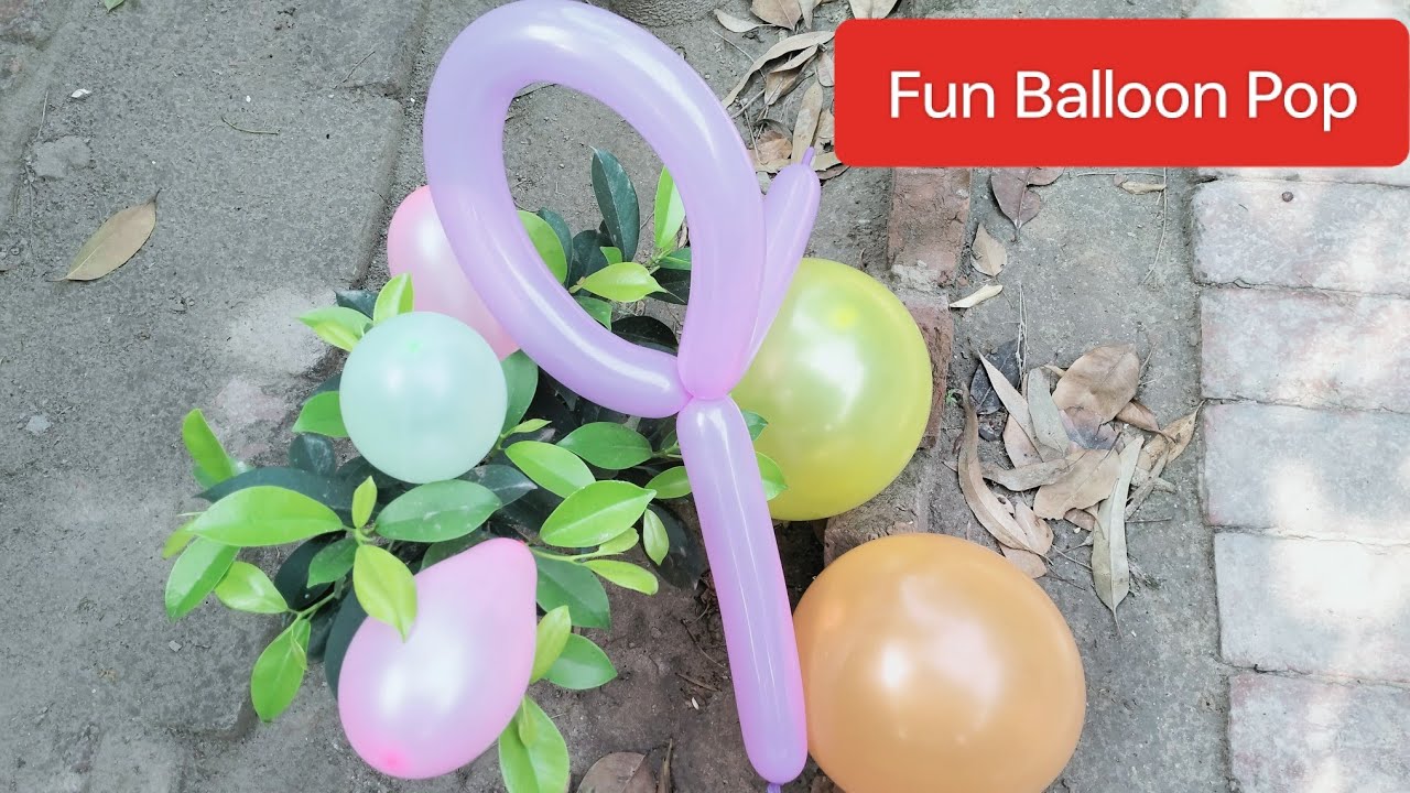 Fun balloon pop part 24 | ASMR Balloonz - YouTube