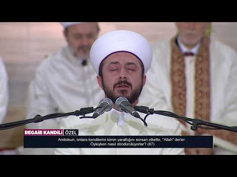 Ali Tel - Zuhruf (81-89) Kur'an-ı Kerim Tilaveti (Aşir)