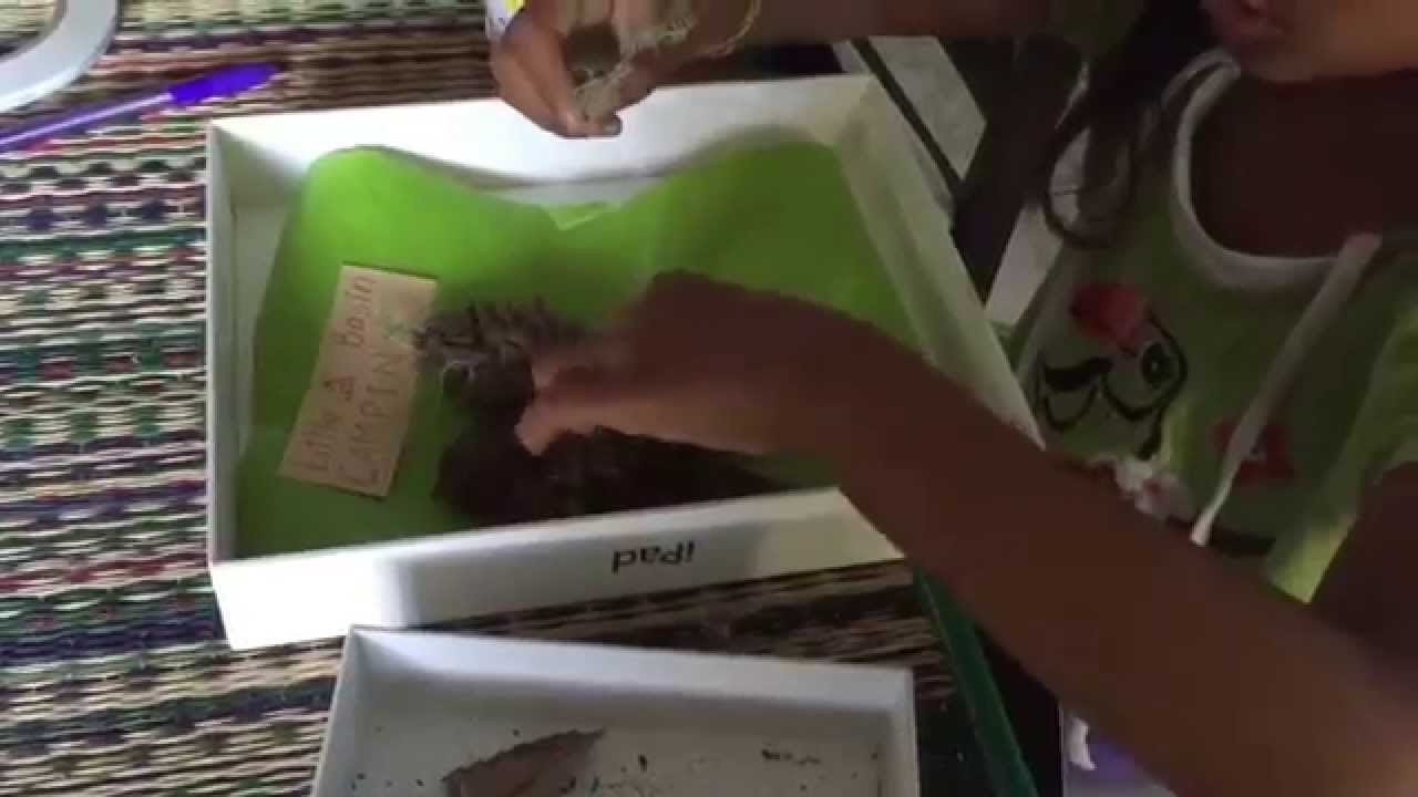 How to make a shadow box kid DIY - YouTube