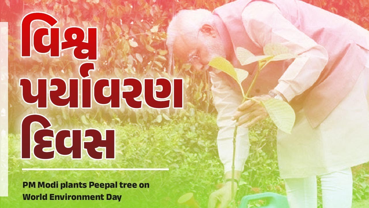 LIVE : PM Shri Narendra Modi plants Peepal tree on World Environment ...