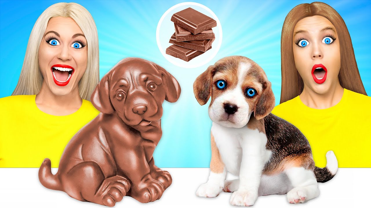Chocolate vs Real Food Challenge #3 초콜릿 대 실제 음식 도전 Multi DO Fun 다 마 ...