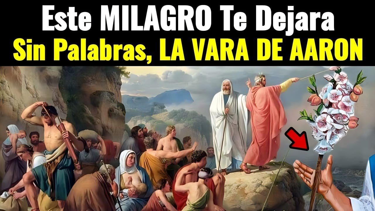 ¿porque DIOS floreció la vara de AARÓN? (explicación de la historia ...