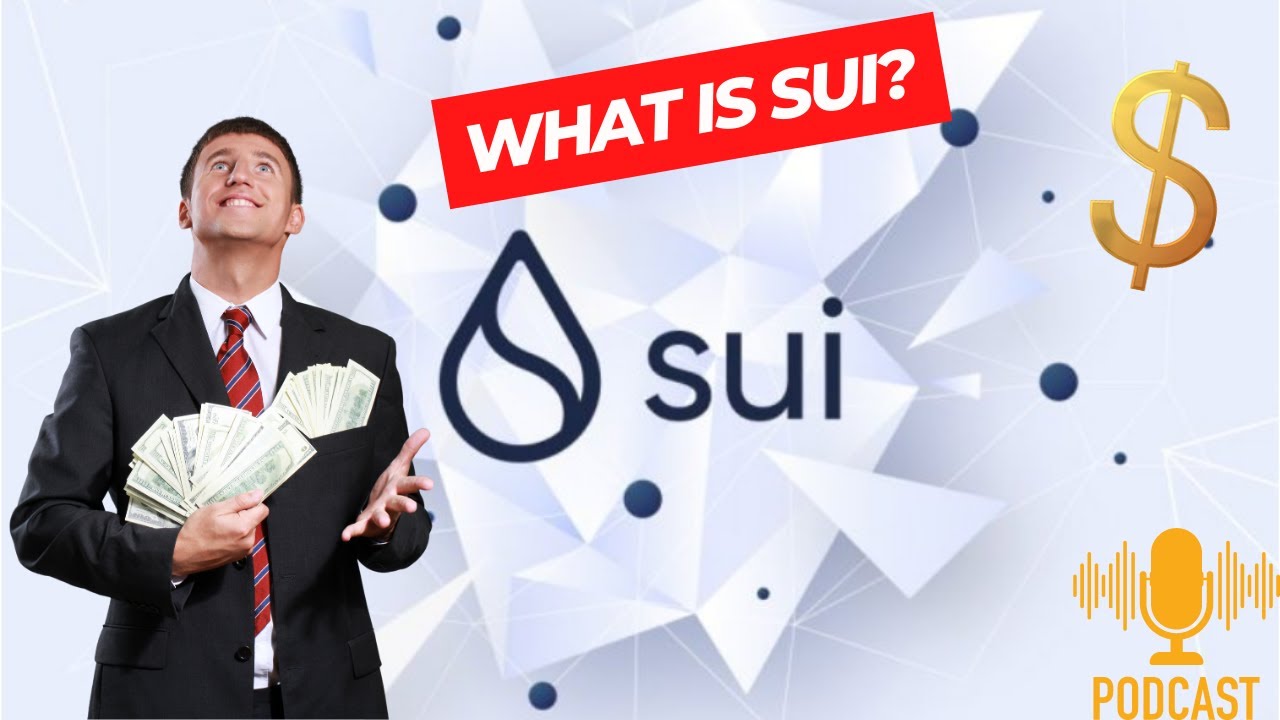 What is SUI? - YouTube