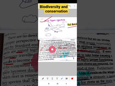 Rivet popper Hypothesis#Shorts#Class 12 Biodiversity and conservation ...