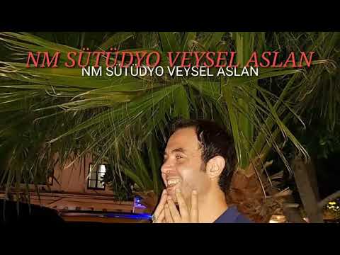 Hayrettin sili Seni almadan gitmem