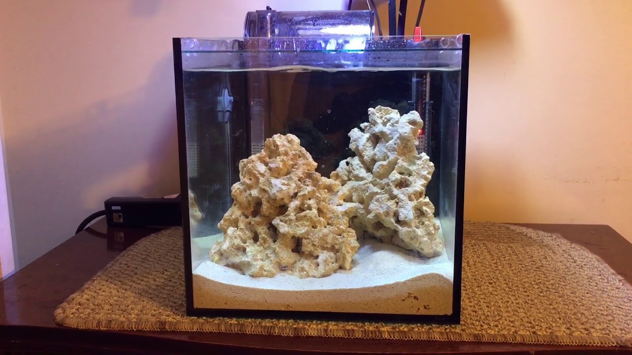 Aquarium Top Of Glass at Adolph Grier blog