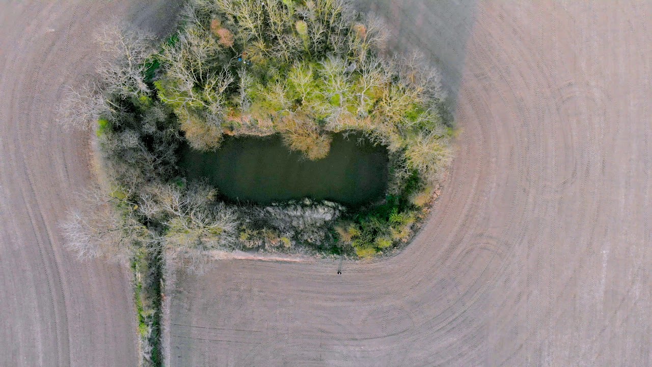 Withybrook, Warwickshire, UK 30th March 2019 - YouTube