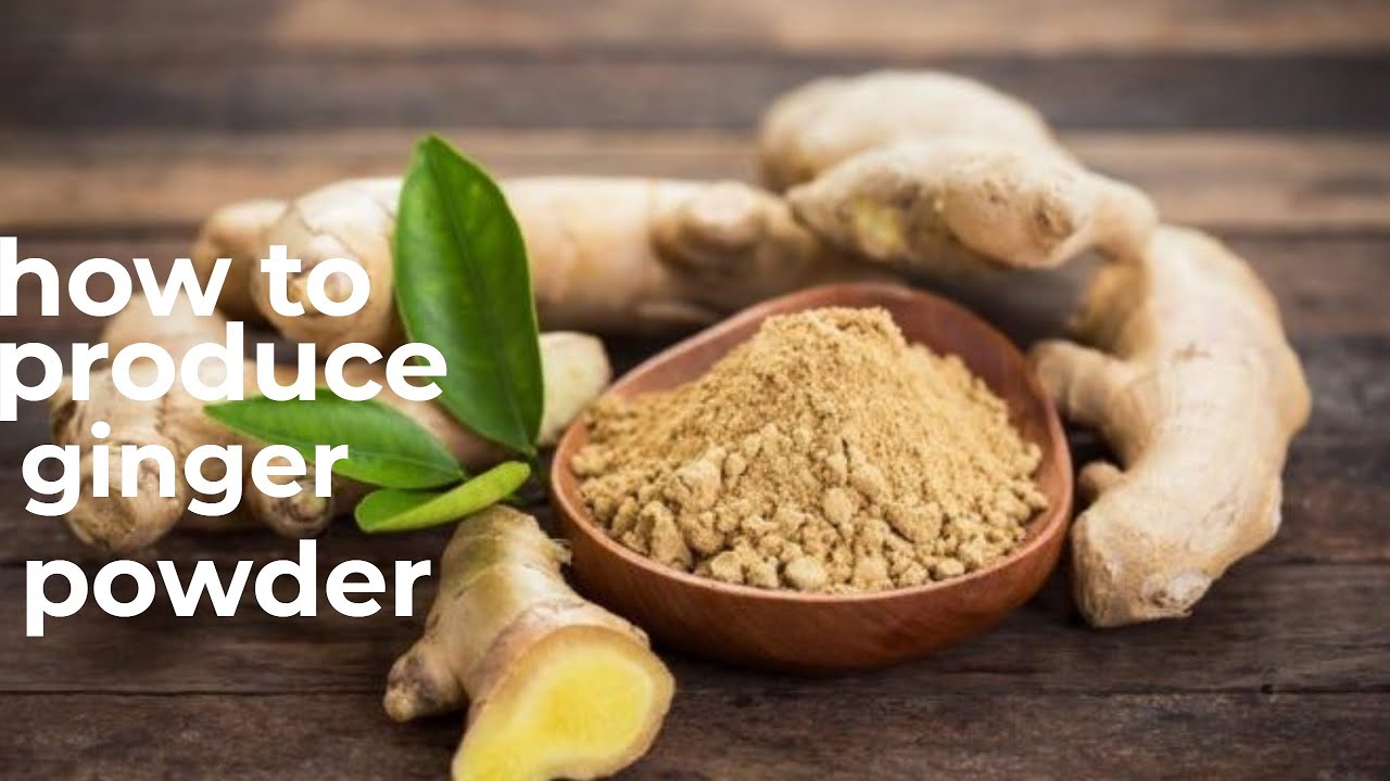 Ginger| Homemade ginger powder | ginger powder - YouTube