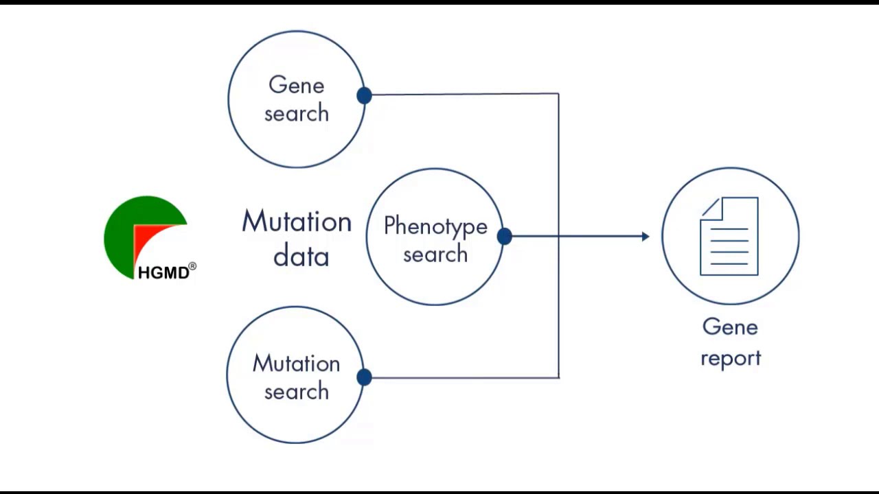 Gene Report with Human Gene Mutation Database (HGMD) - YouTube