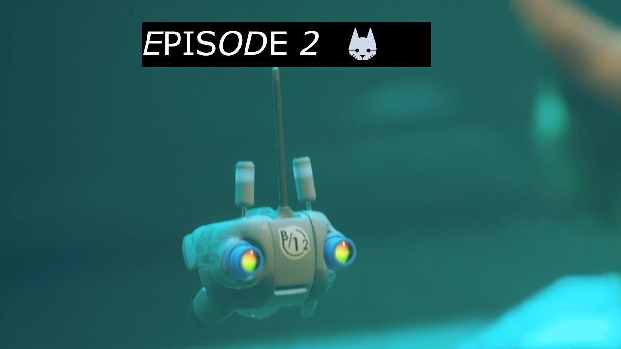 Stray b12 enters the ring - YouTube
