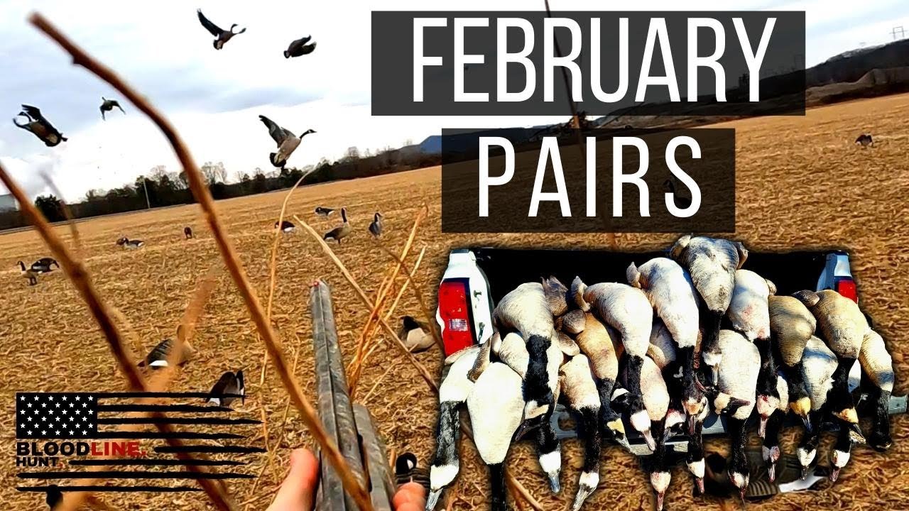 Goose Hunting Pairs In February | Third Goose Band! - YouTube