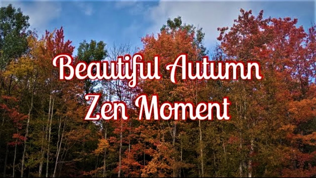 Beautiful Autumn Zen Moment🍂 - YouTube