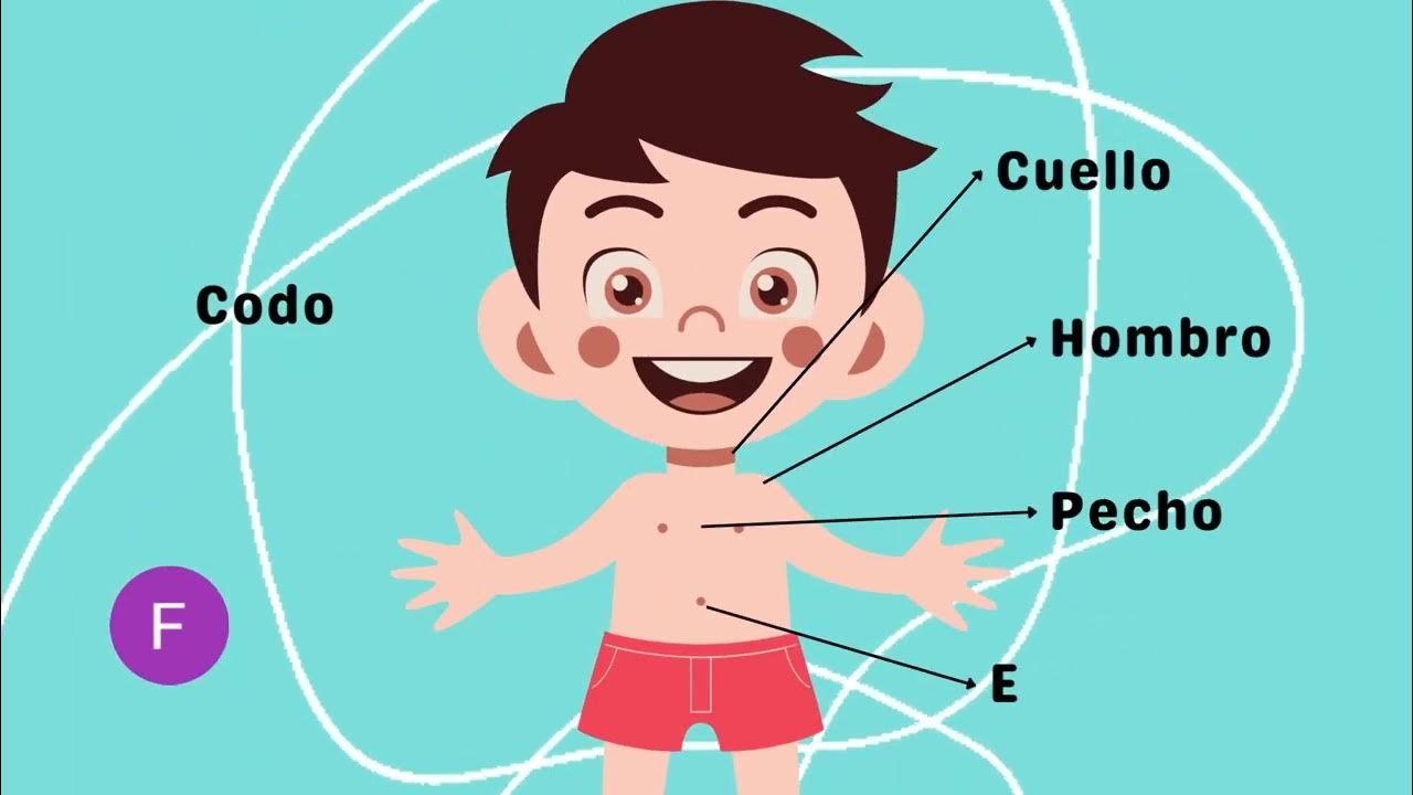 THE BODY - EL CUERPO - YouTube