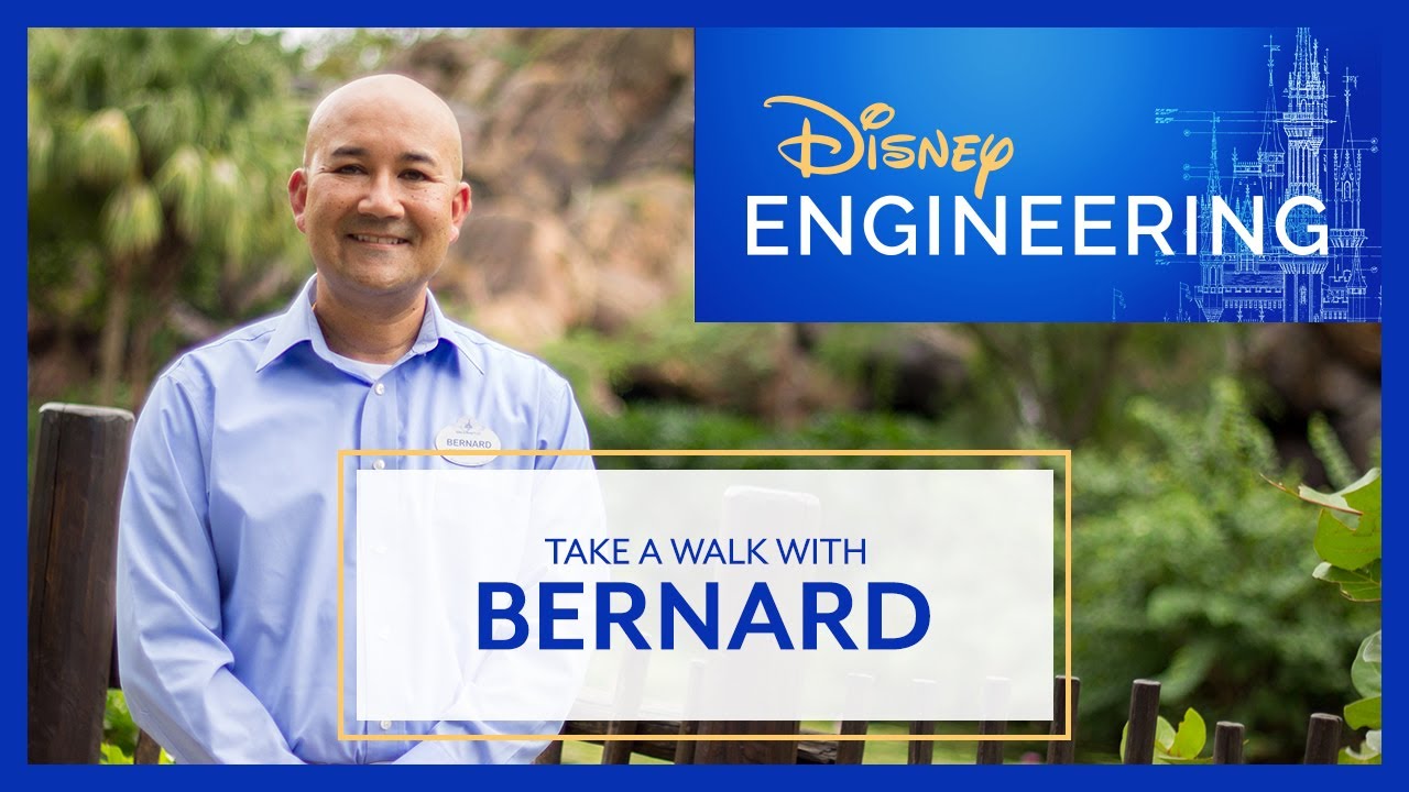 Disney Engineering: Walk Through Disney's Animal Kingdom with Bernard ...