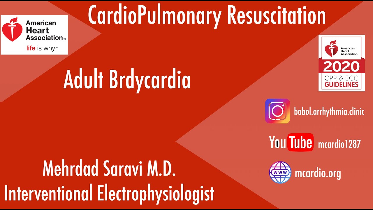 Cardiopulmonary Resuscitation: Adult Bradycardia - YouTube
