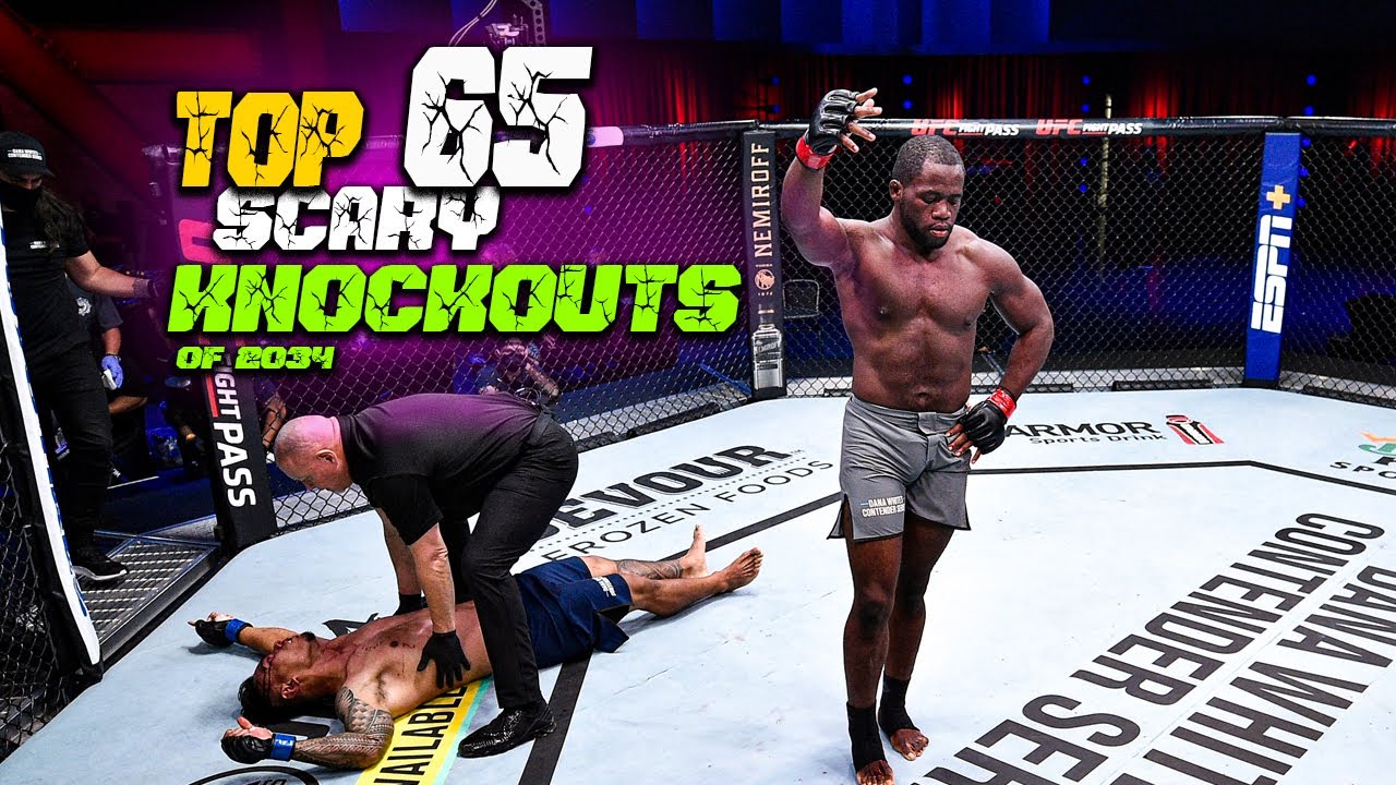 Top 65 CRAZY Knockouts Of All 2024 | Brutal MMA - YouTube