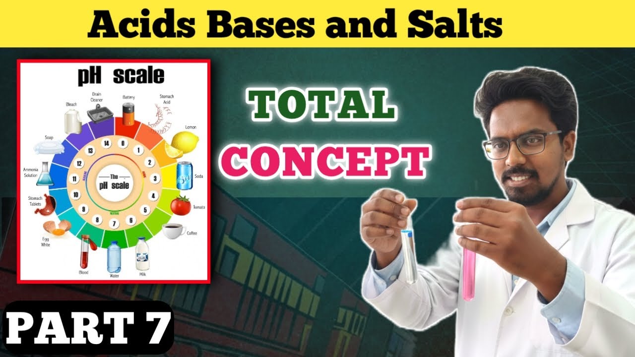 PH SCALE|ACIDS BASES SALTS NCERT CLASS PART 7🔥 - YouTube