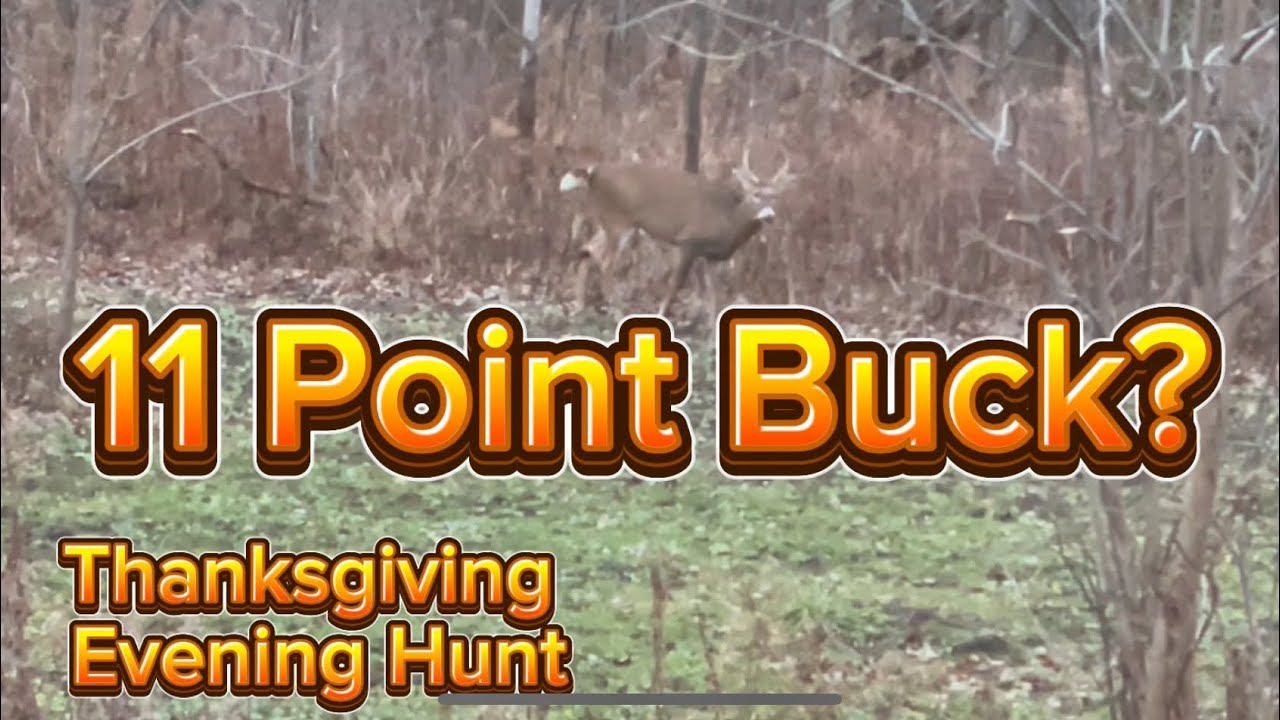 Is it a 11 point buck? - YouTube