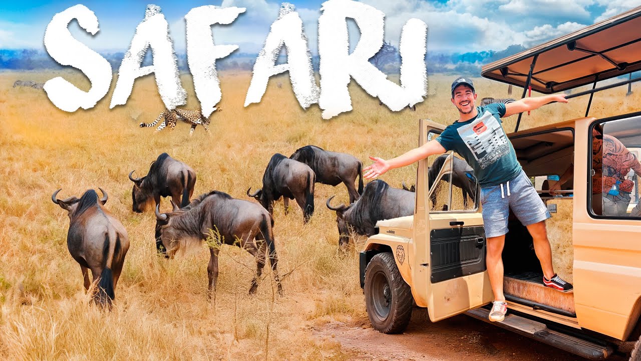 La guida DEFINITIVA per un safari perfetto - YouTube