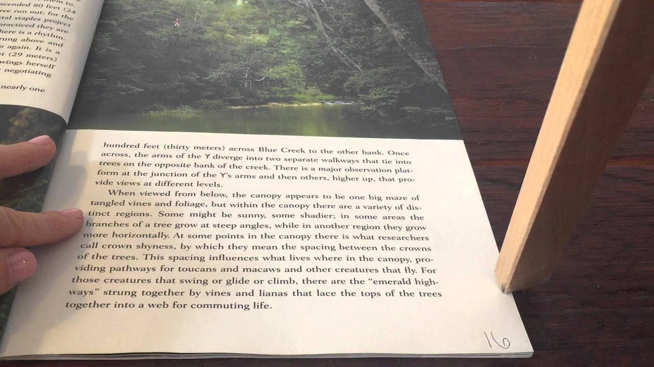 The Most Beautiful Roof in the World - page 16 - Lesson 5 Chunk 7 - NYS ...