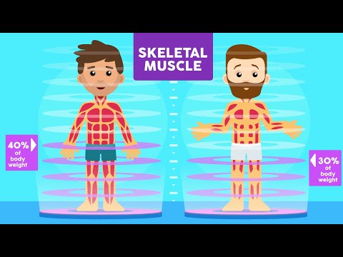 The Importance of Nutrition to Prevent and Treat Low Muscle Mass