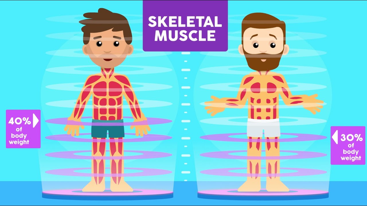 The Importance of Nutrition to Prevent and Treat Low Muscle Mass - YouTube