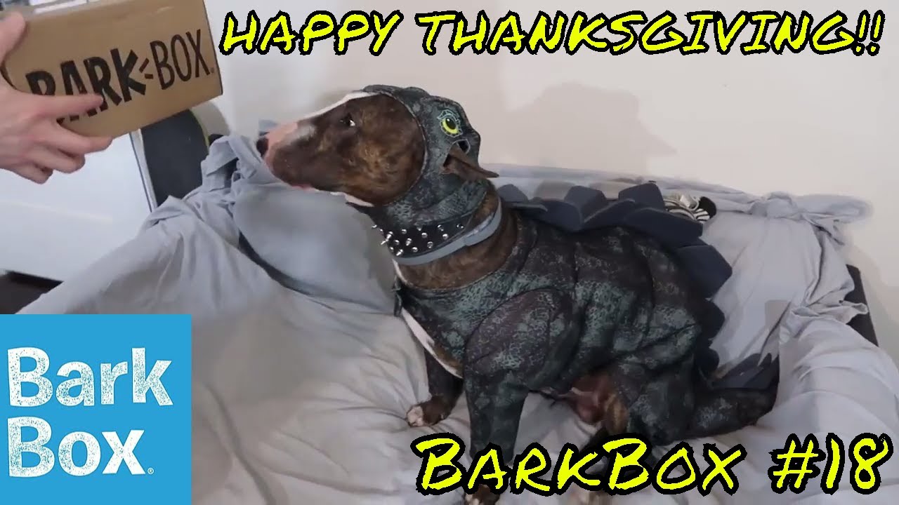 Barkbox #18 Unboxing a Thanksgiving Edition box with Odin the ...