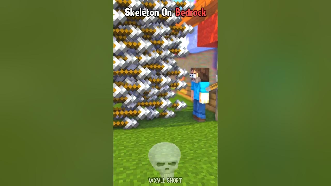 Java Skeleton VS Bedrock Skeleton 💀 | @HamoodeG #shorts #minecraft ...