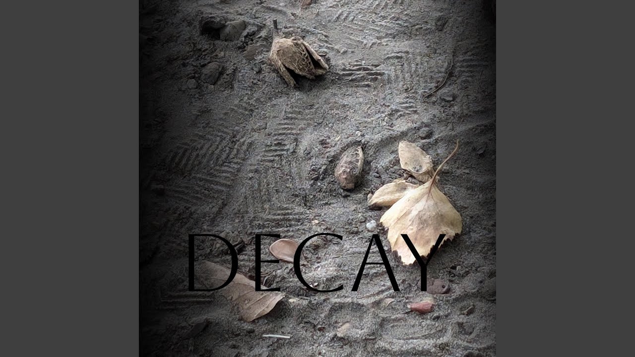 decay - YouTube