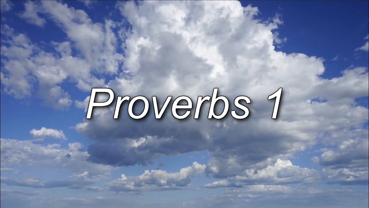 Bible Audio: PROVERBS 1 - With Text (NIV) read by David Kang - YouTube