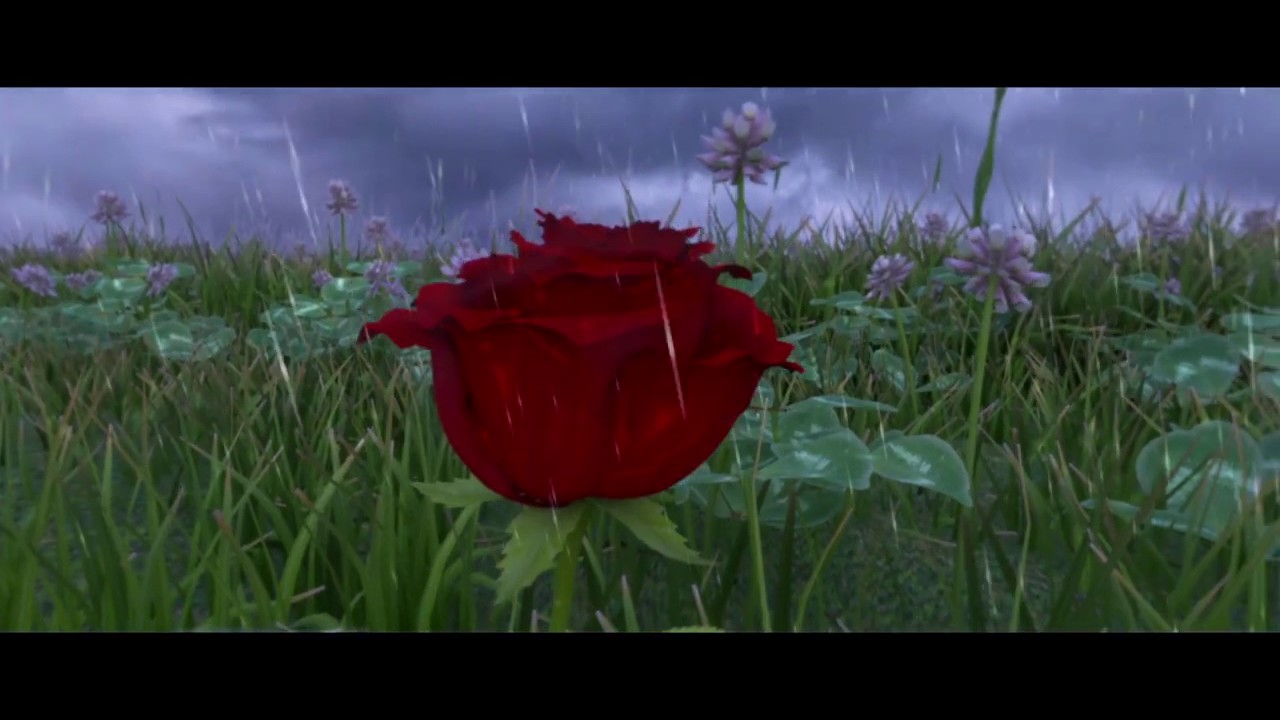 Kannada saheba movie teaser - YouTube