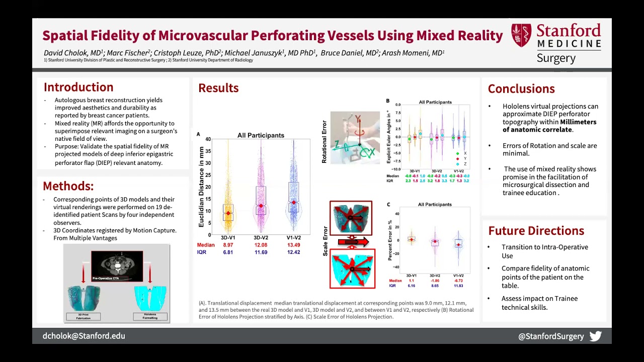 Spatial Fidelity of Microvascular Perforating Vessels Using Mixed ...