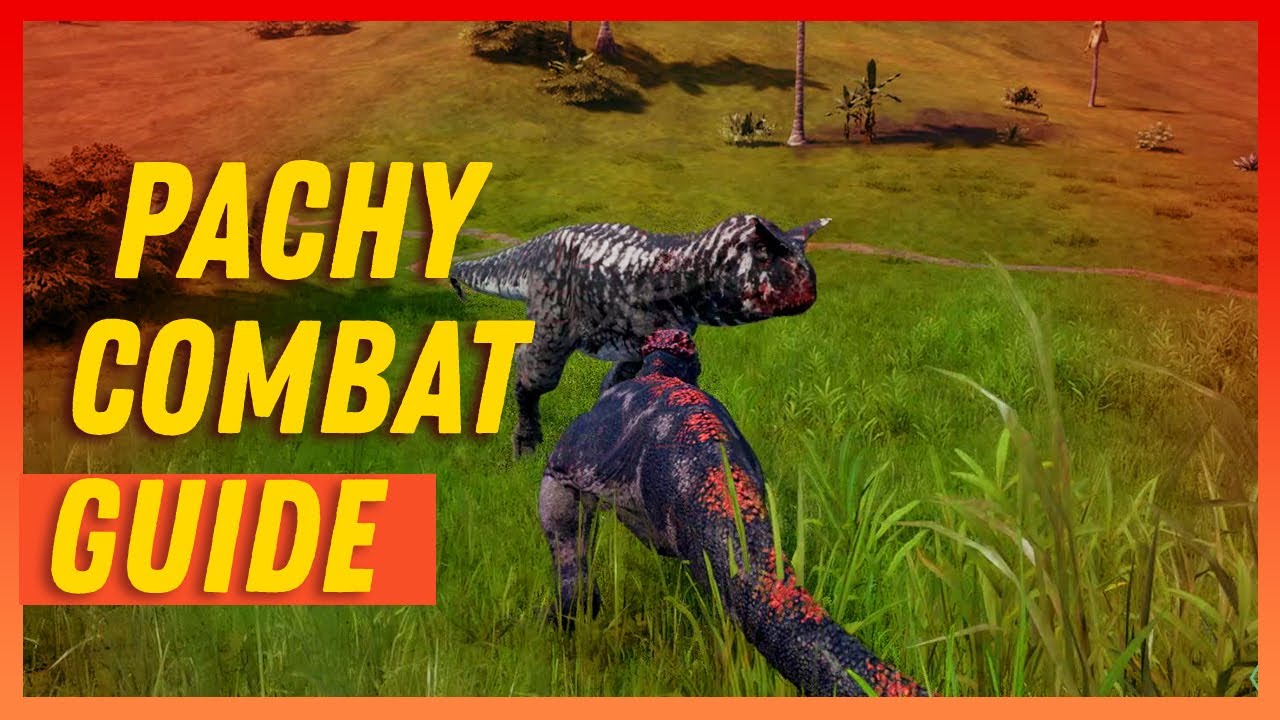 Pachy Combat Guide - Evrima - YouTube