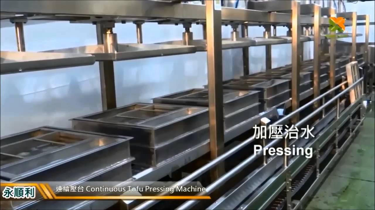 EVERSOON Tofu Production Line | Automatic Continuous Tofu Pressing ...