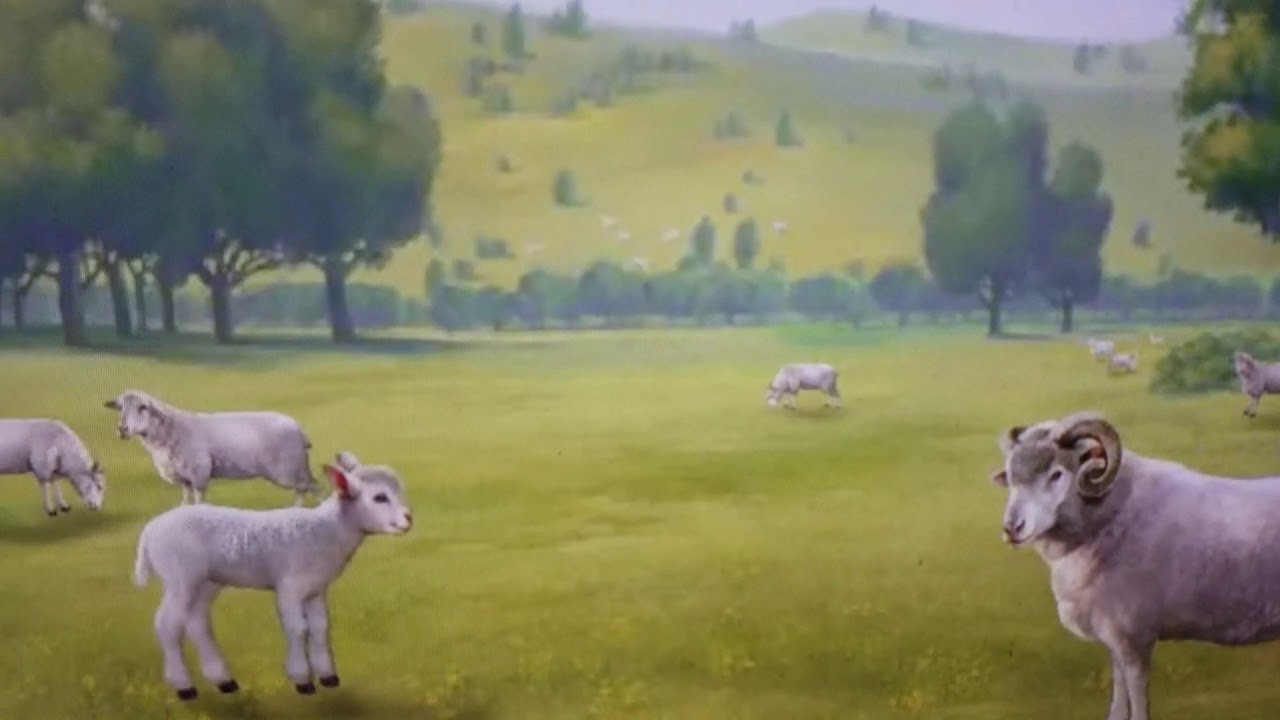 ABCMOUSE.COM Click here to watch the sheep - YouTube